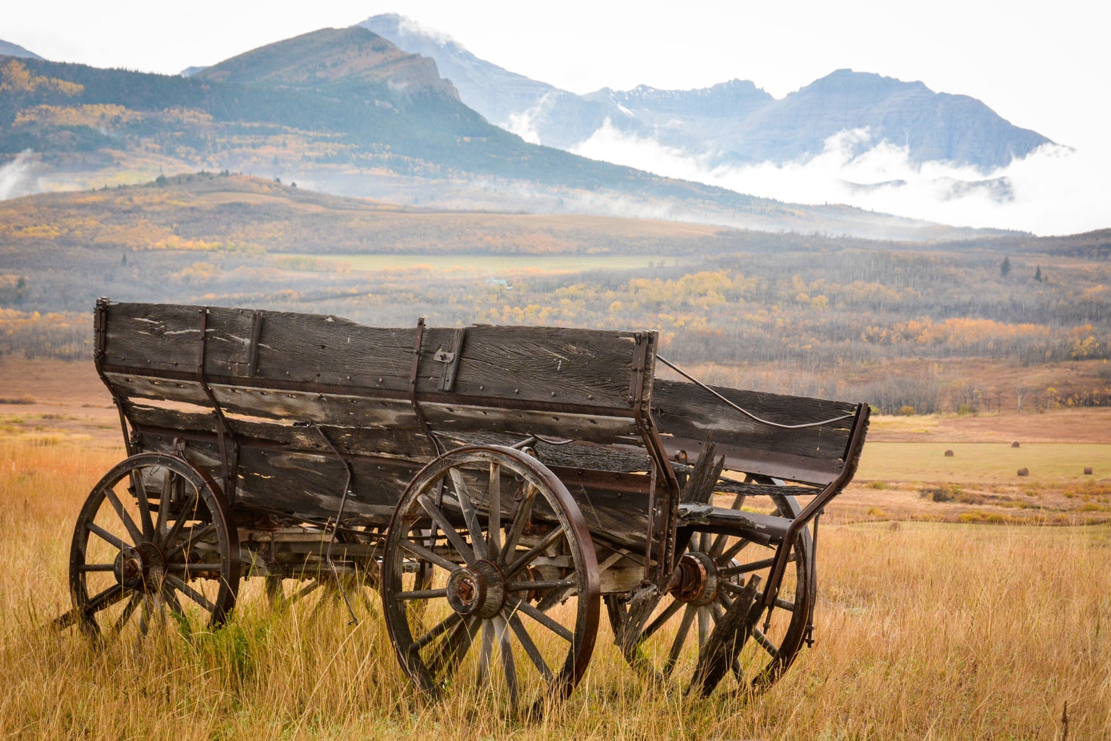 History of the Oregon Trail for Kids | Bedtime History Podcast