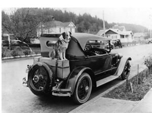 Bobbie the Wonder Dog | Bedtime History: Podcast and Videos For Kids ...